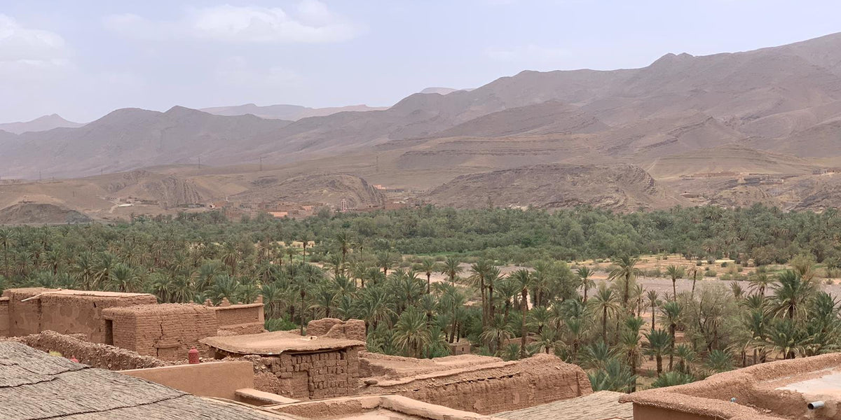 Clive Rogers Oriental Rugs