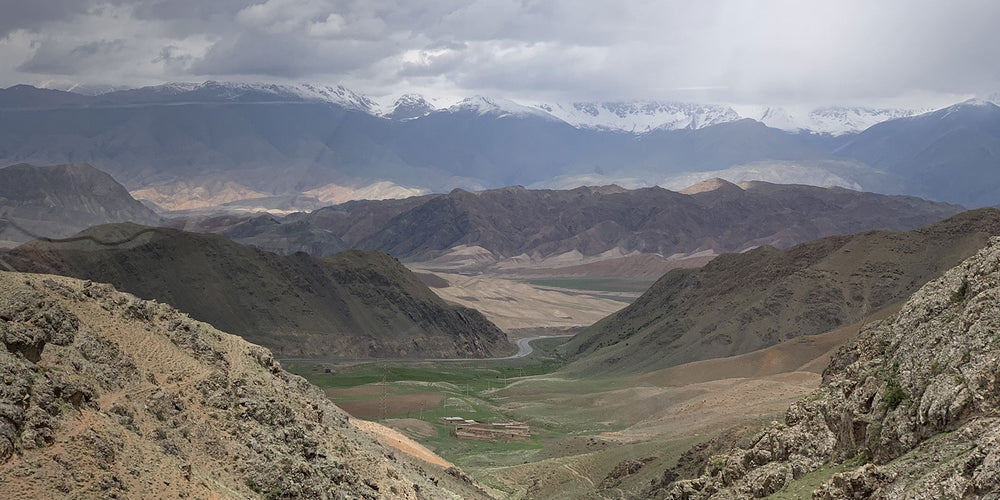 Clive Rogers Oriental Rugs